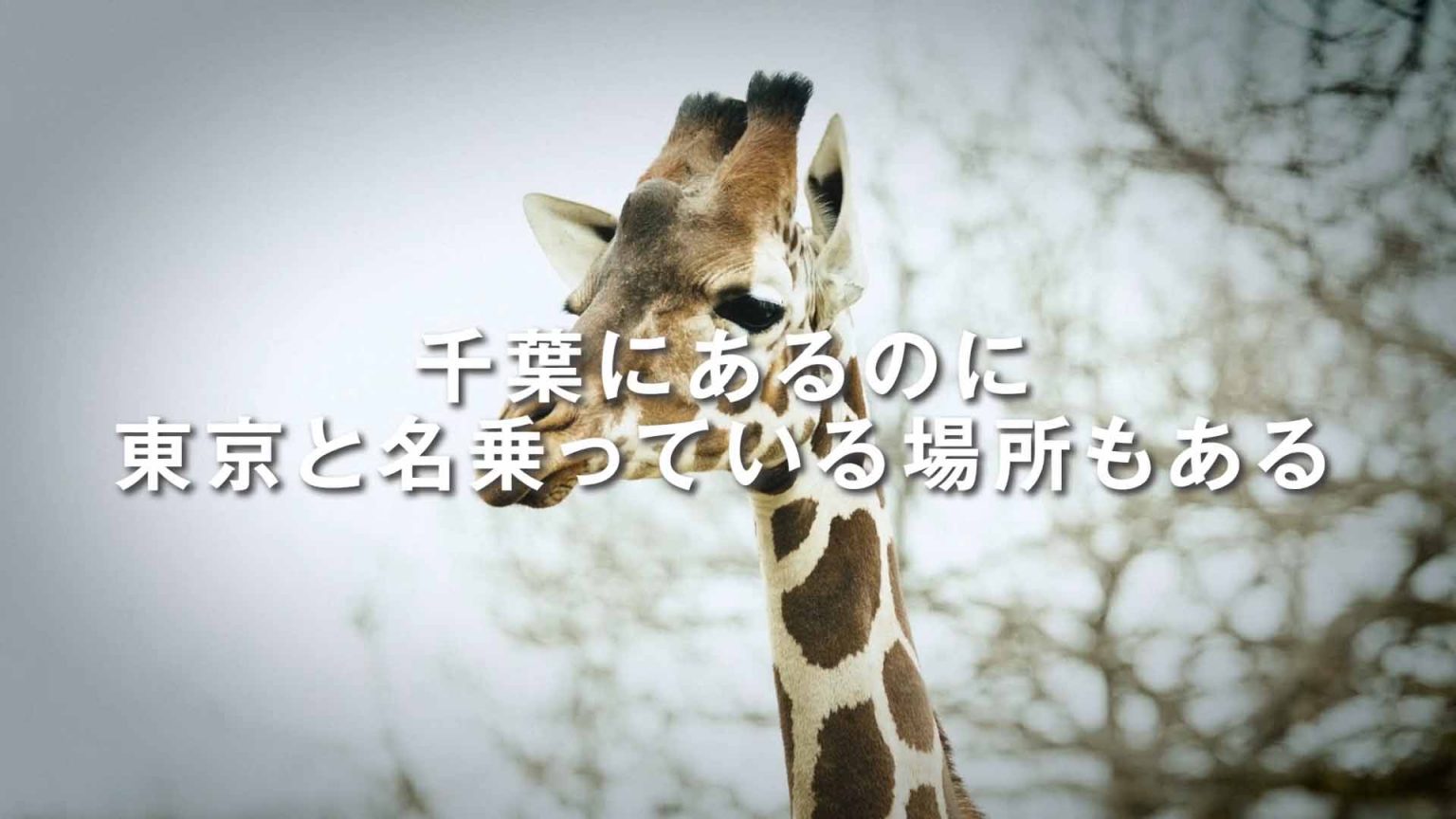 TVCM - 株式会社フィックス